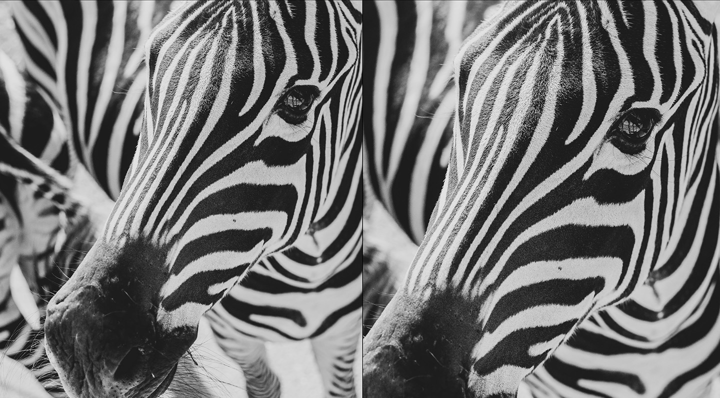 Home - Impact Hub Berlin